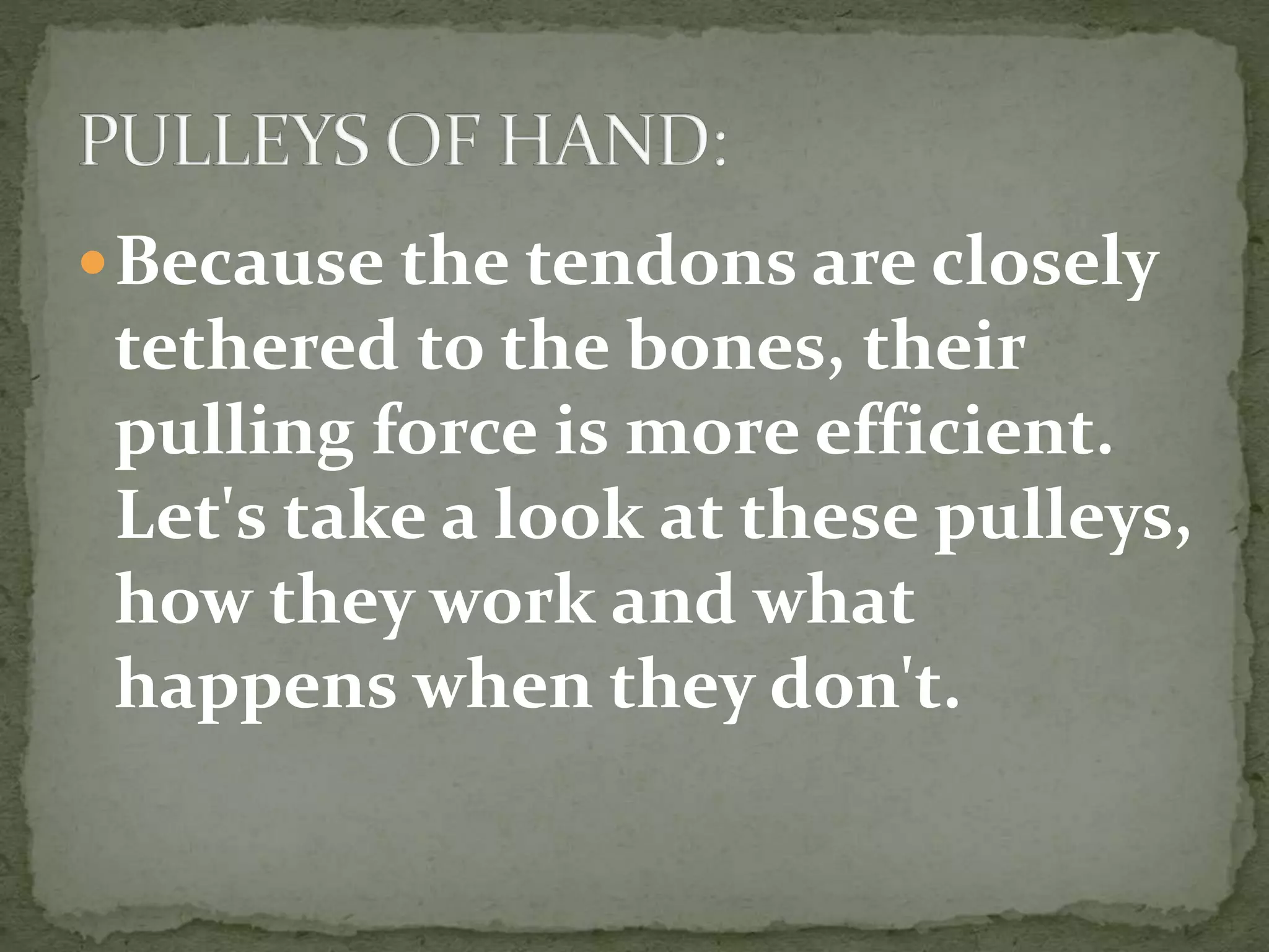 PULLEYS OF HAND. PPT..pptx