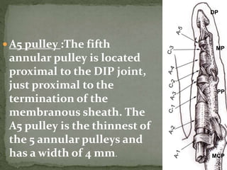 PULLEYS OF HAND. PPT..pptx
