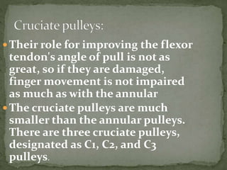 PULLEYS OF HAND. PPT..pptx