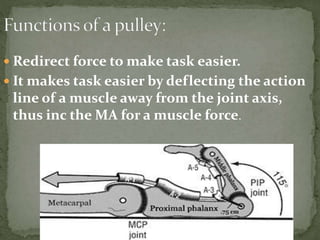 PULLEYS OF HAND. PPT..pptx