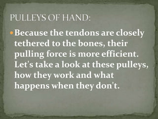 PULLEYS OF HAND. PPT..pptx