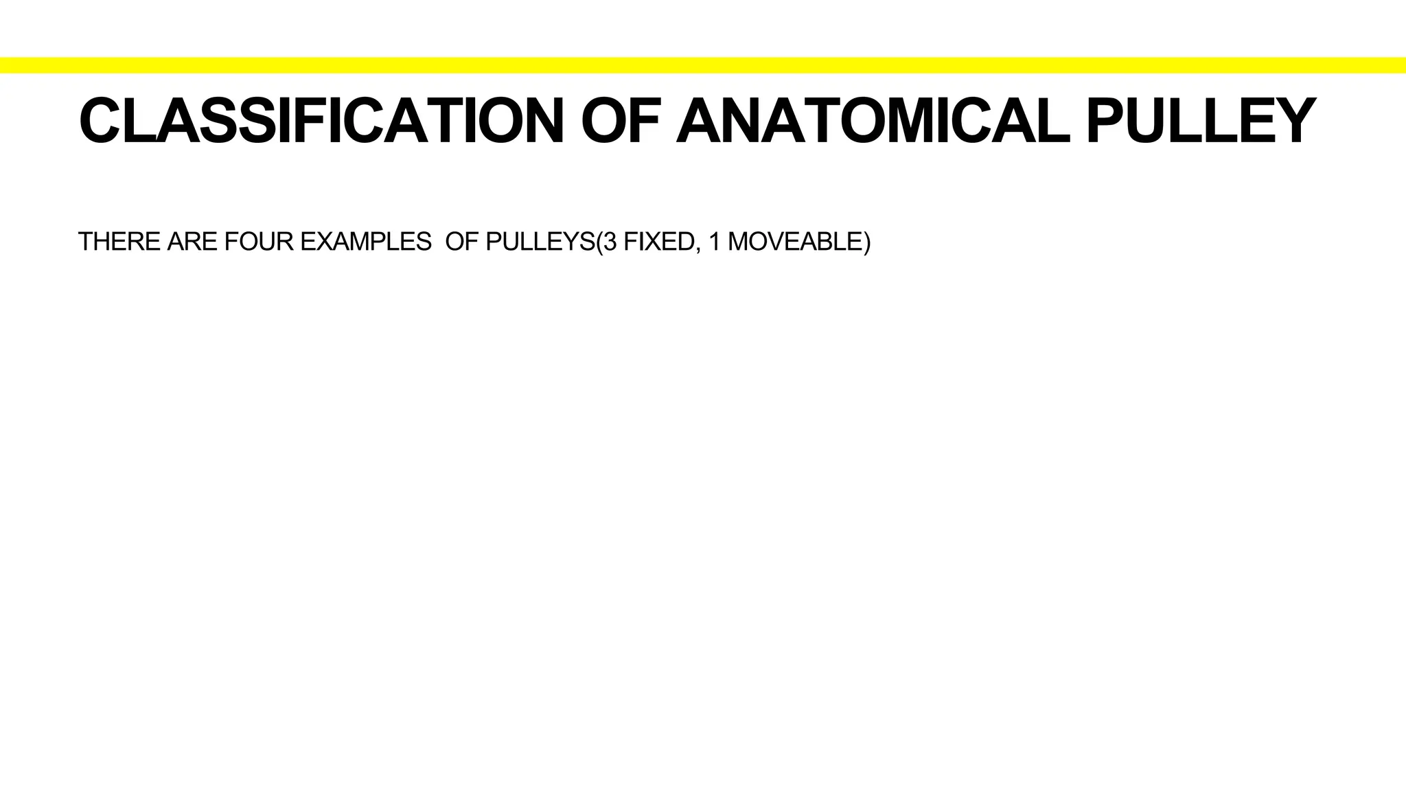 PULLEYS and the definition types of pulleys | PPTX
