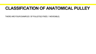 PULLEYS and the definition types of pulleys | PPTX