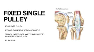 PULLEYS and the definition types of pulleys | PPTX
