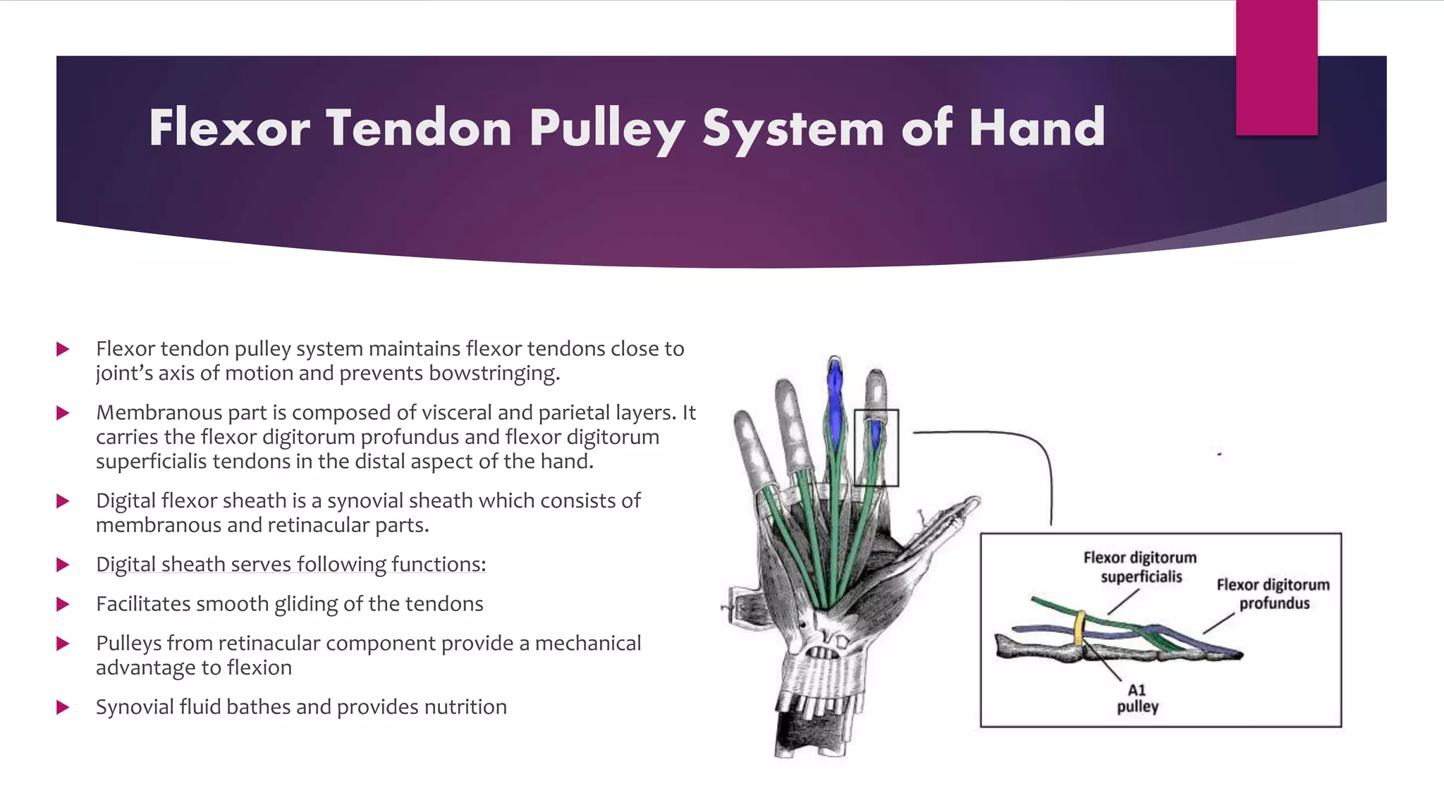 Pulley system | PPTX