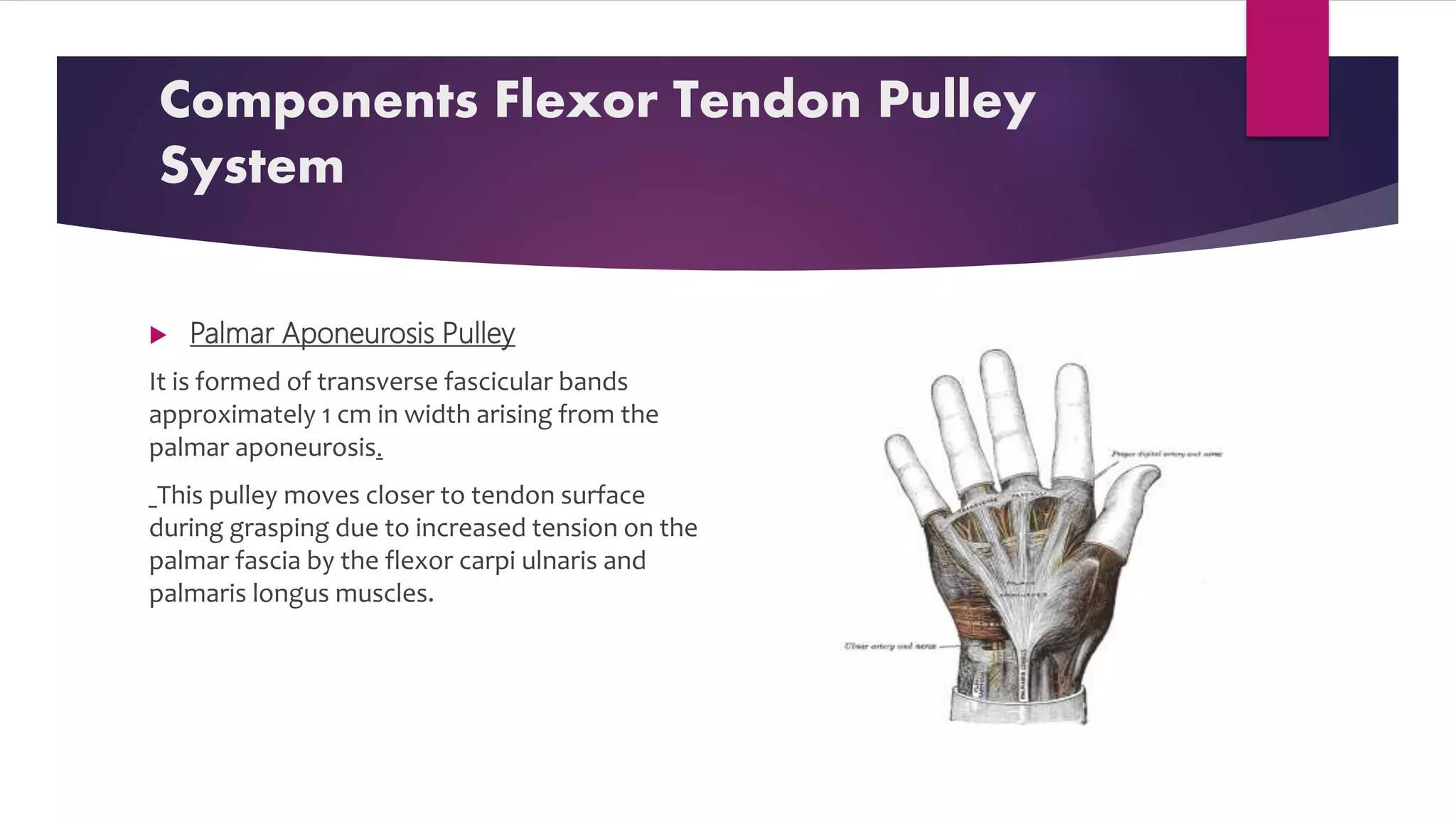 Pulley system | PPTX