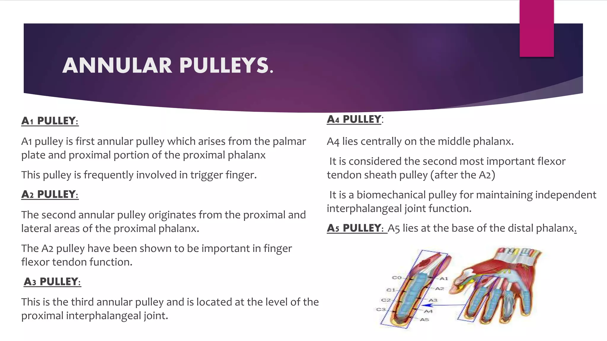Pulley system | PPTX