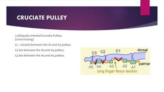 Pulley system | PPTX