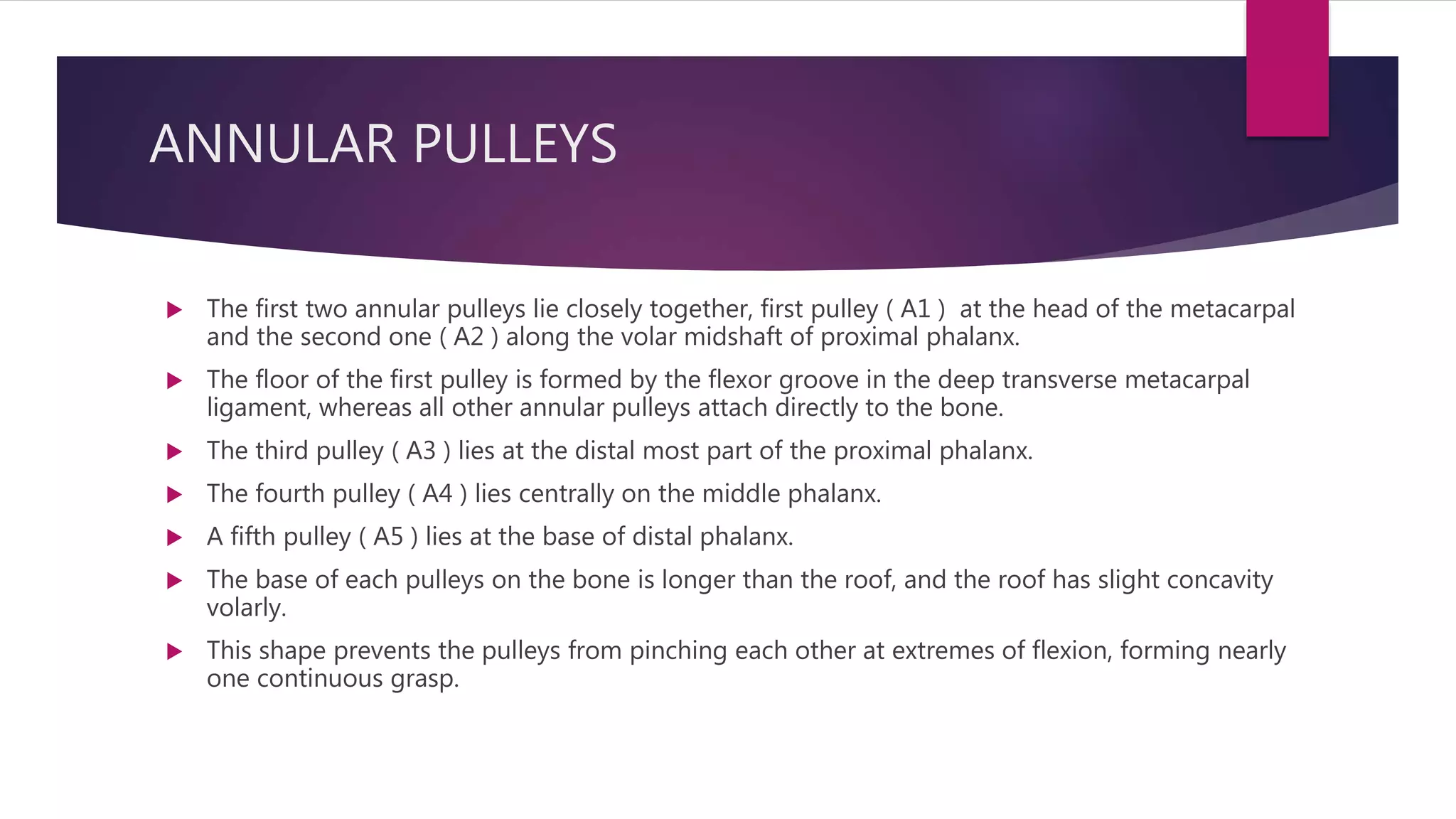 Pulley system in hand | PPTX