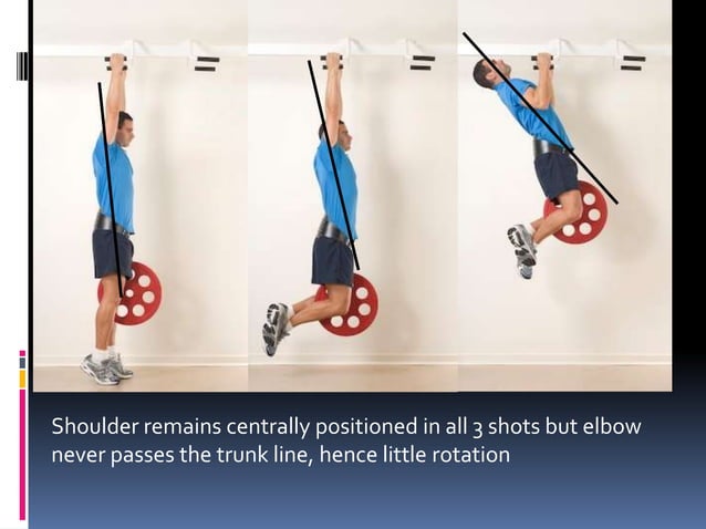 Pulling Movements – Shoulder Or Elbow First | PPT