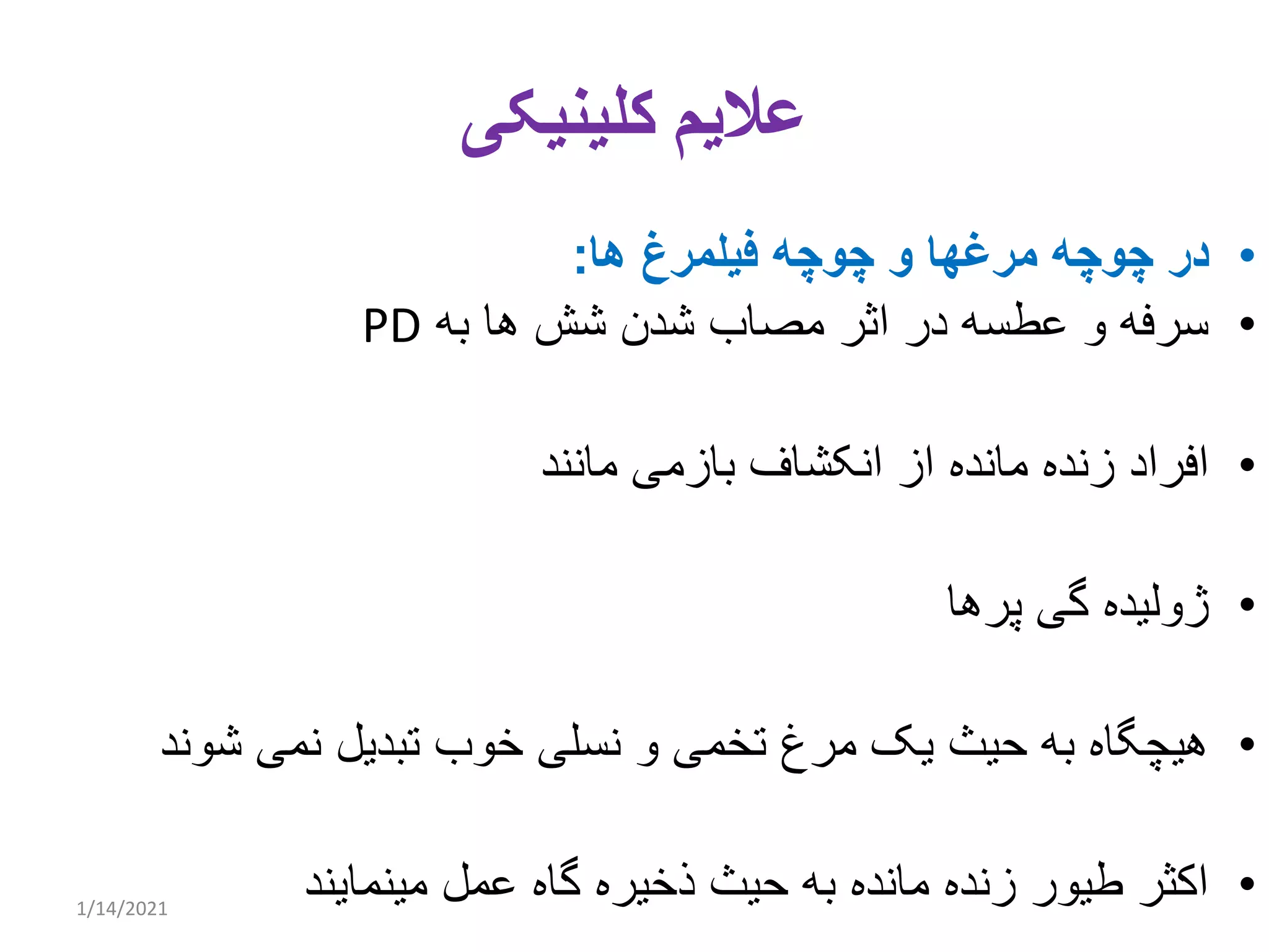 Pullorum disease | PDF