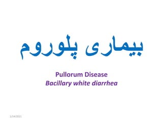 Pullorum disease | PPT
