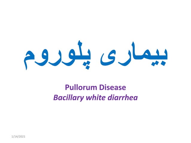 Pullorum disease | PPT
