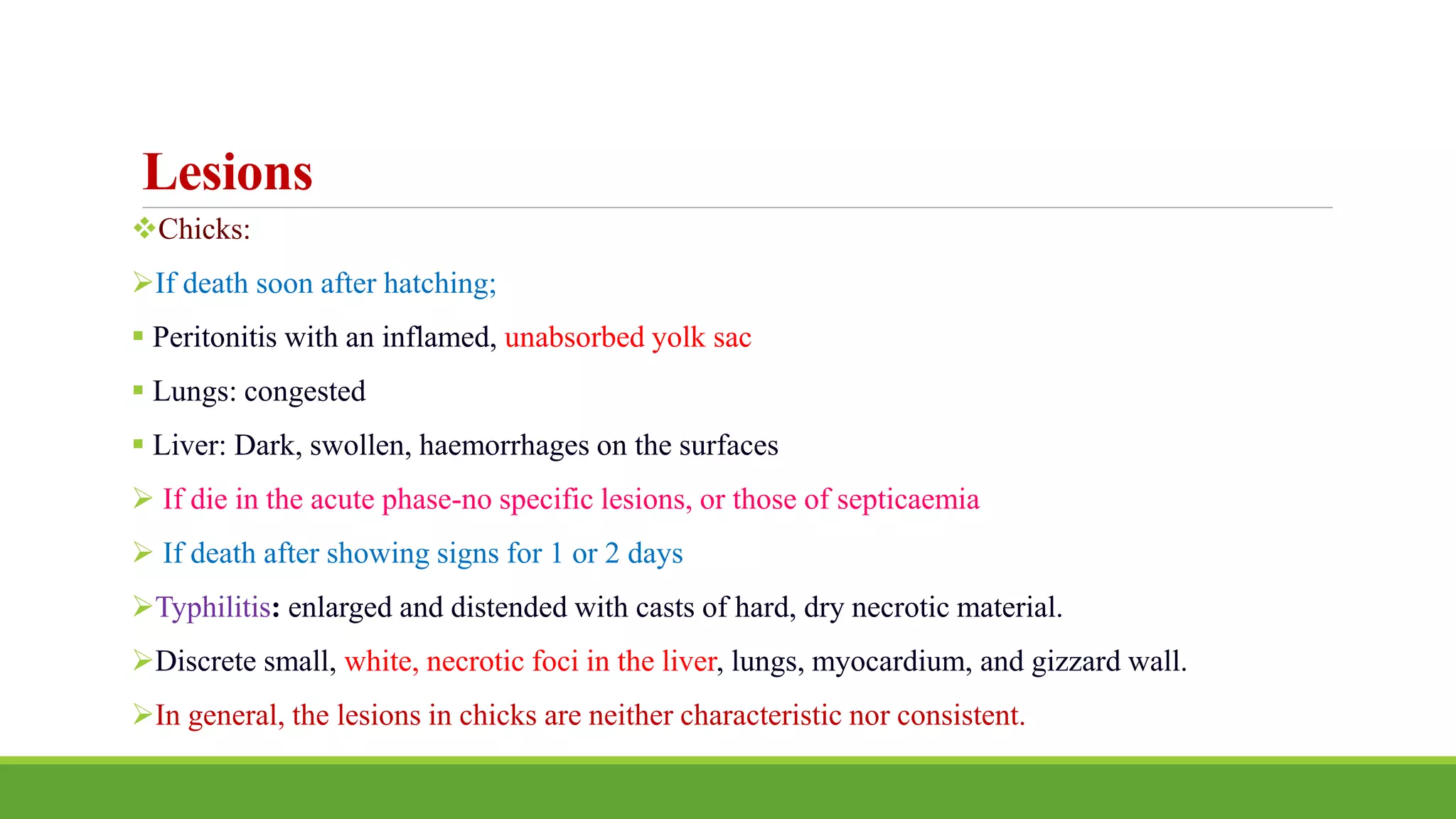 Pullorum Disease. | PPTX
