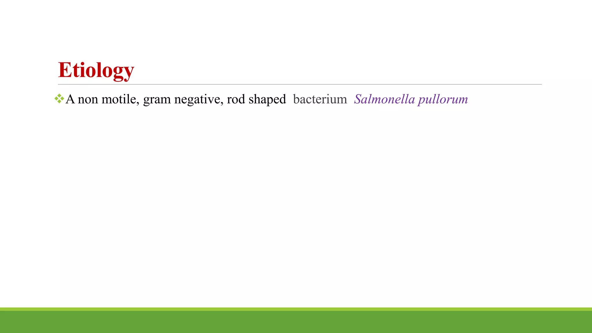 Pullorum Disease. | PPTX
