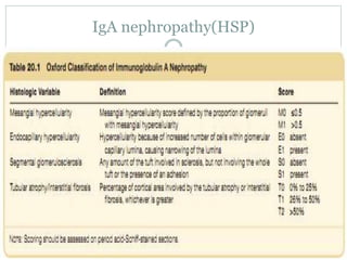 Pulm. renal syndromes(renal prespective) | PPTX