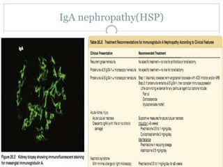 Pulm. renal syndromes(renal prespective) | PPTX