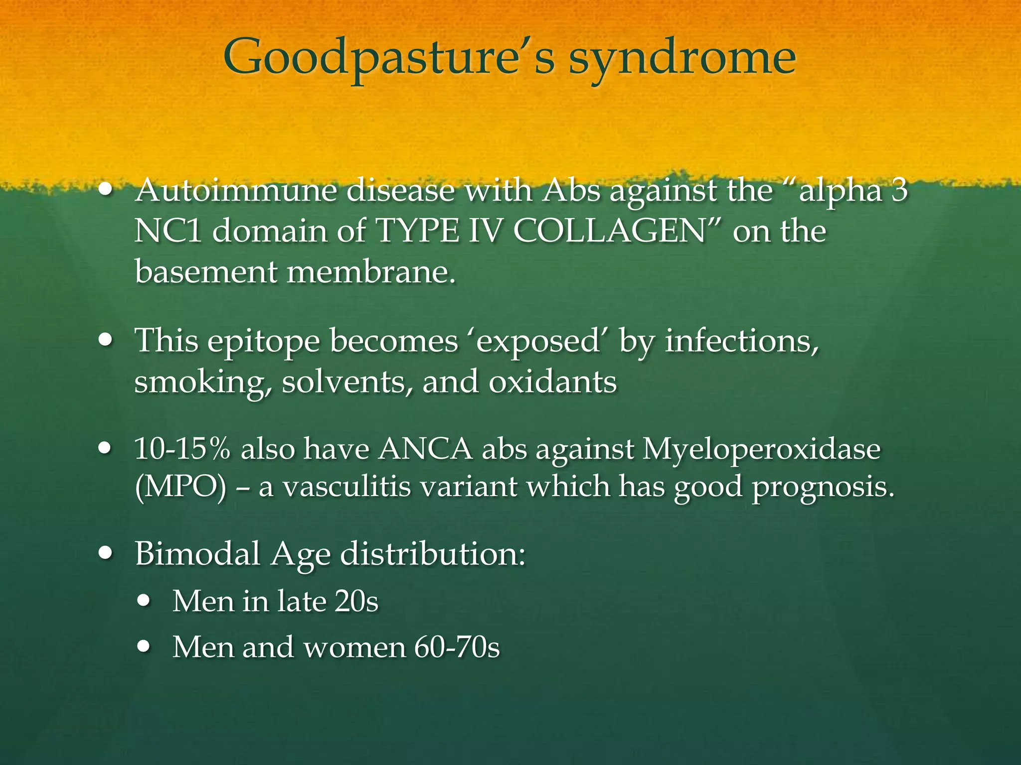 Pulmonary Renal Syndromes | PPTX