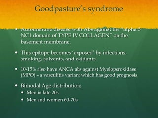 Pulmonary Renal Syndromes | PPTX