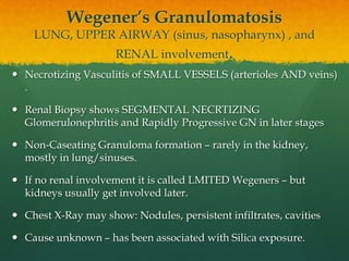 Pulmonary Renal Syndromes | PPTX