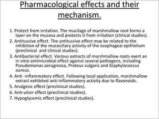 Pulmonalogy | PPT