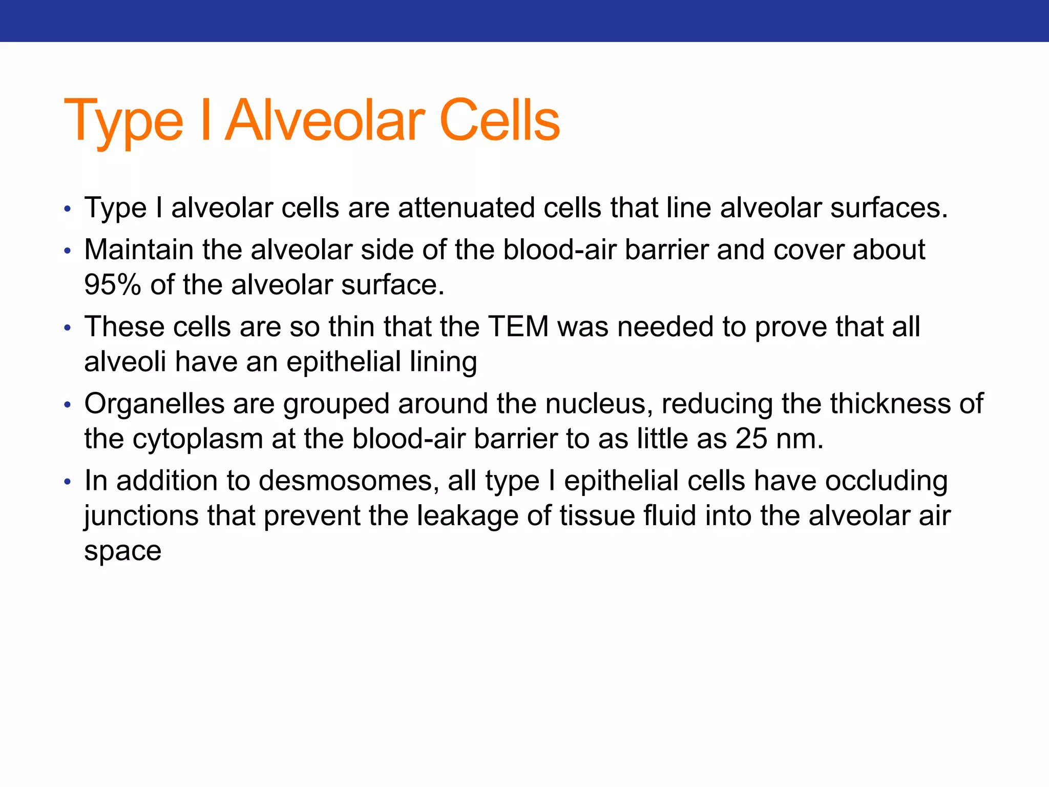 Pulmonology Histology | PPTX
