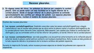 Pulmón_inarvación_pleuras_hilio_anatomía de superficie.pptx.pdf