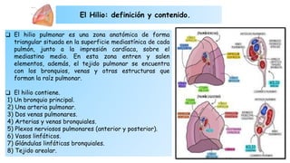 Pulmón_inarvación_pleuras_hilio_anatomía de superficie.pptx.pdf