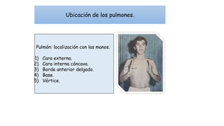 Pulmón_inarvación_pleuras_hilio_anatomía de superficie.pptx.pdf