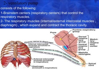 General Pulmnology/Respirat medicine.ppt