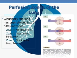 Pulmo blood flow.pptx du ko re bi 4 du 3 | PPTX