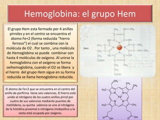 Pulmon hemoglobina | PPTX