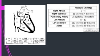 Pulmonary artery catheter | PPTX