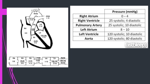Pulmonary artery catheter | PPTX | First Aid | Injuries