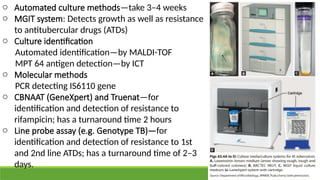 Pulmonary Tuberculosis: Comprehensive Overview of Diagnosis, Treatment ...