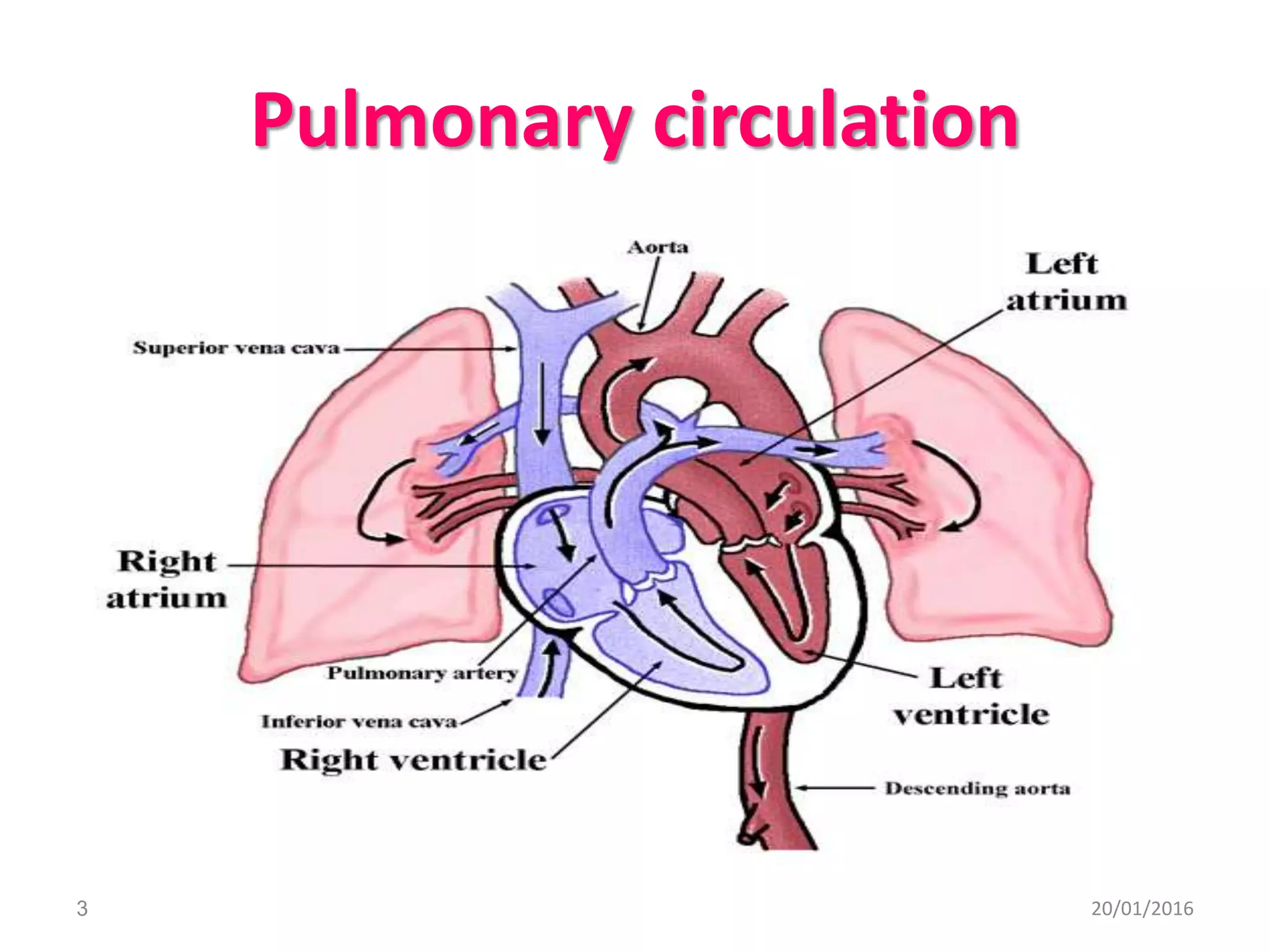 pulmonary-embolism3838-160120092054 (1).pdf