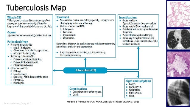 Pulmonary tuberculosis pharmacology