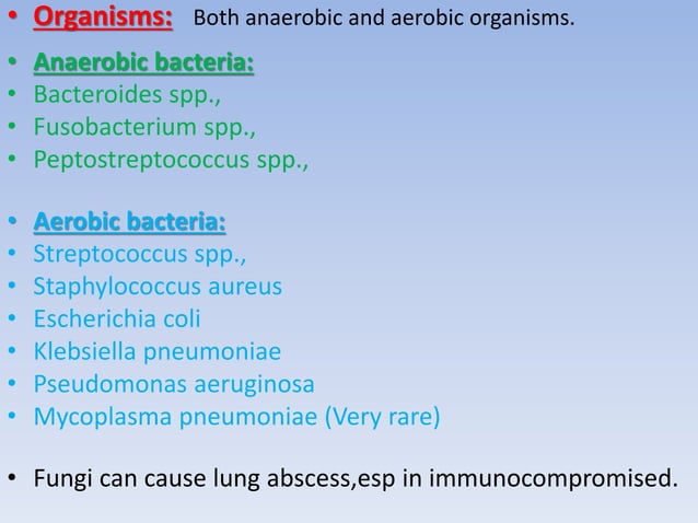 Pulmonary Abscess in Children .. Dr Padmesh | PPTX | Lung and ...