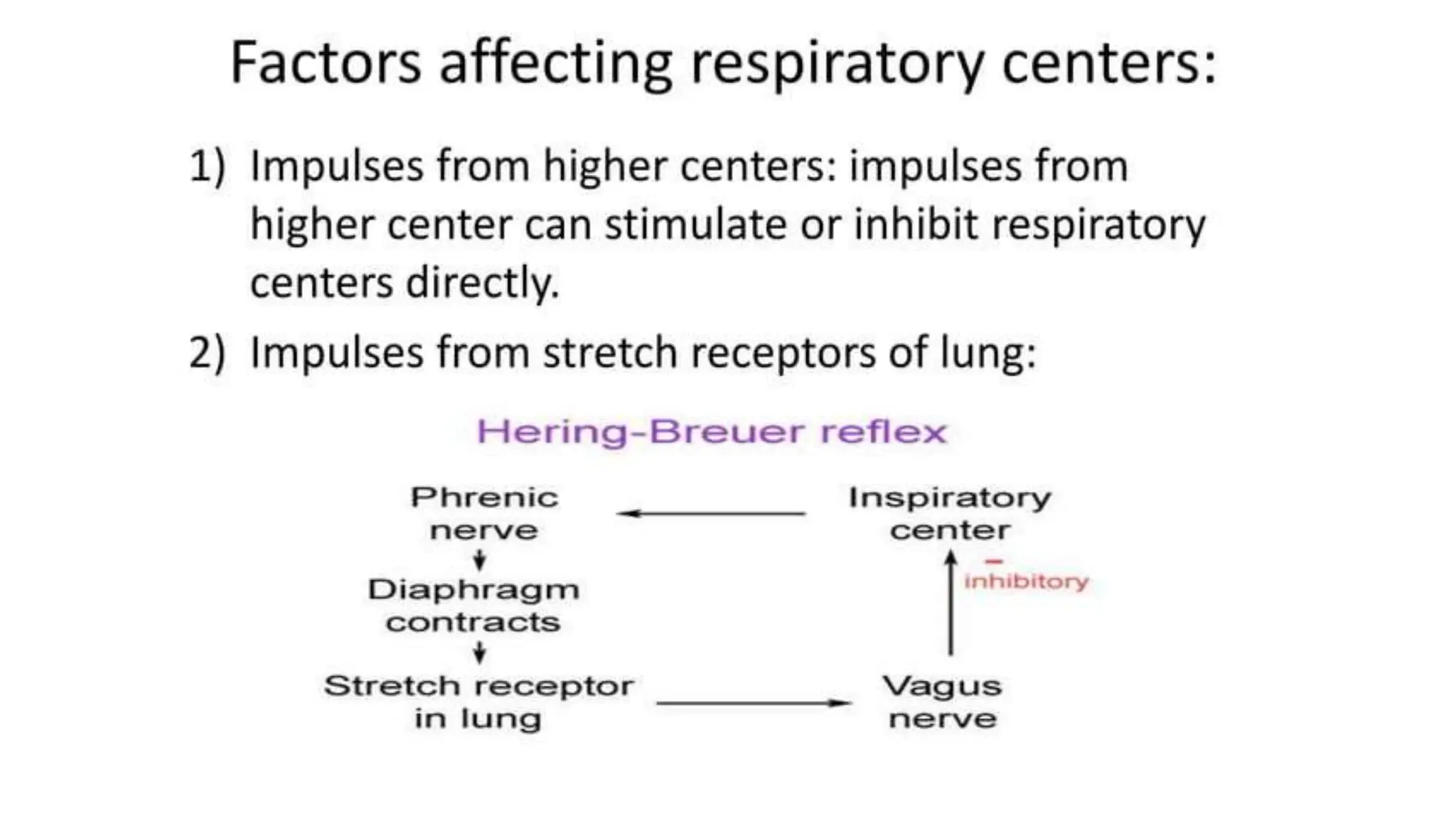 Pulmonary Adaptations In Athletes Autosaved Pptx