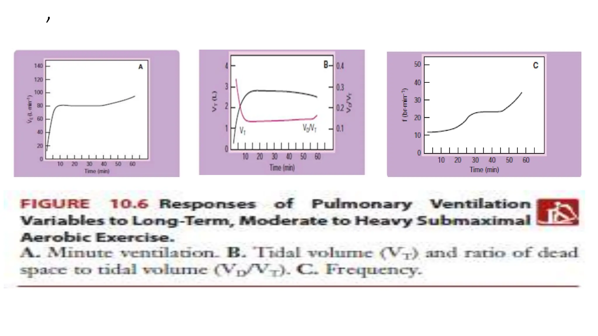 Pulmonary Adaptations in Athletes [Autosaved].pptx