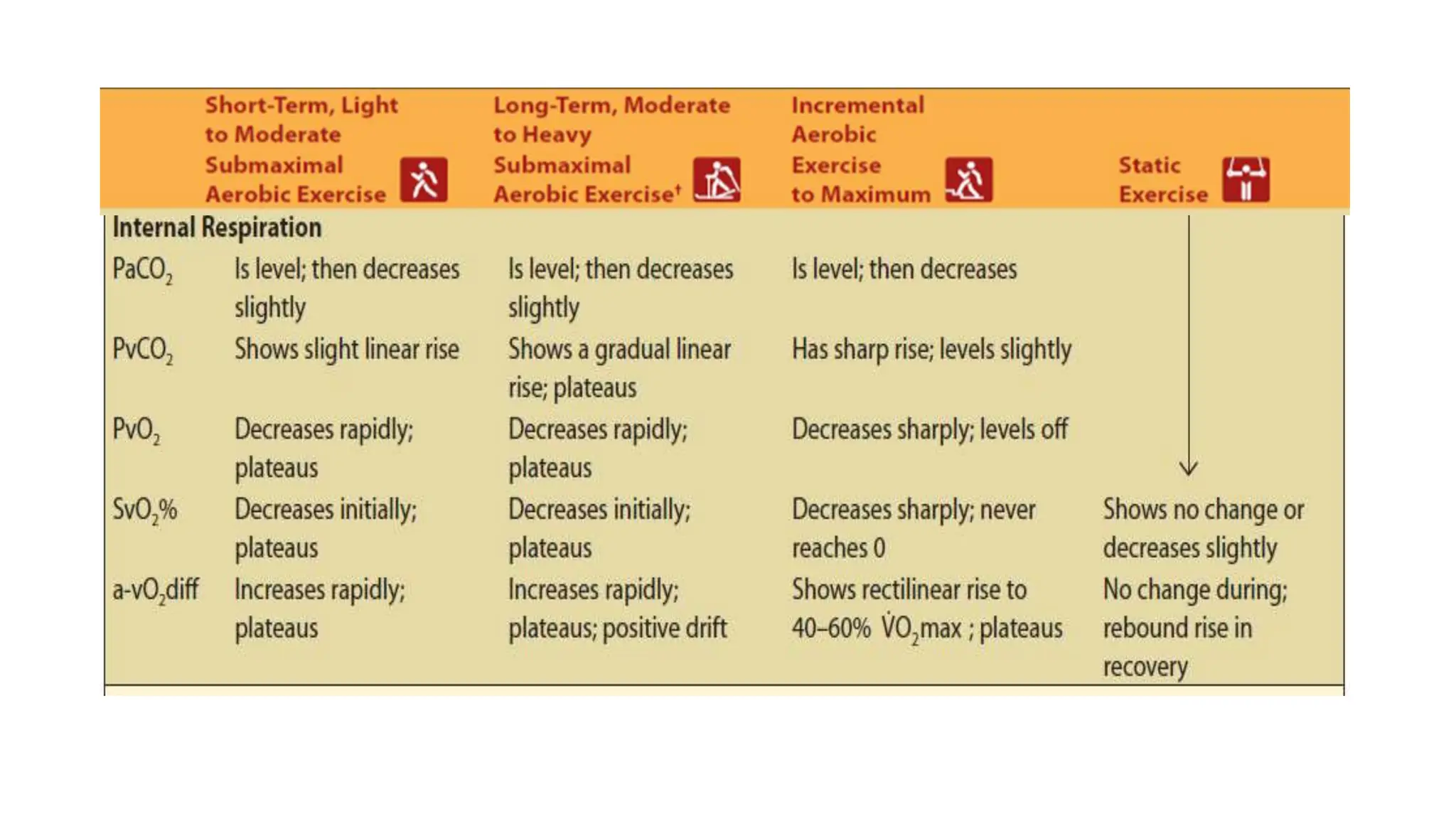Pulmonary Adaptations in Athletes [Autosaved].pptx