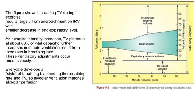 Pulmonary Adaptations in Athletes [Autosaved].pptx