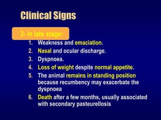 Pulmonary adenomatosis by prof mohamed ghanem | PDF