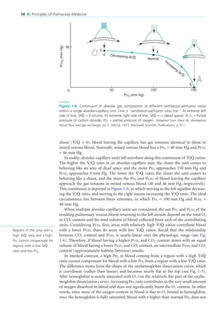 Pulmonary Anatomy and Physiology ANESTESIOLOGIA | PDF