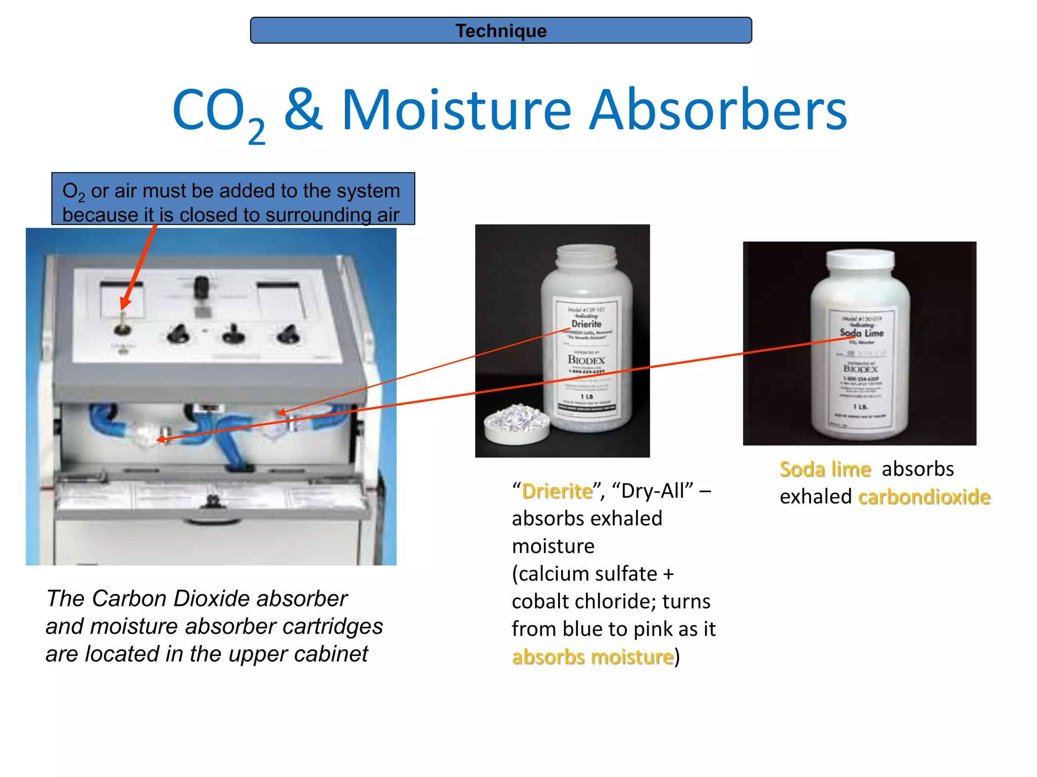 Pulmonary anat phys lung scint principles | PPTX