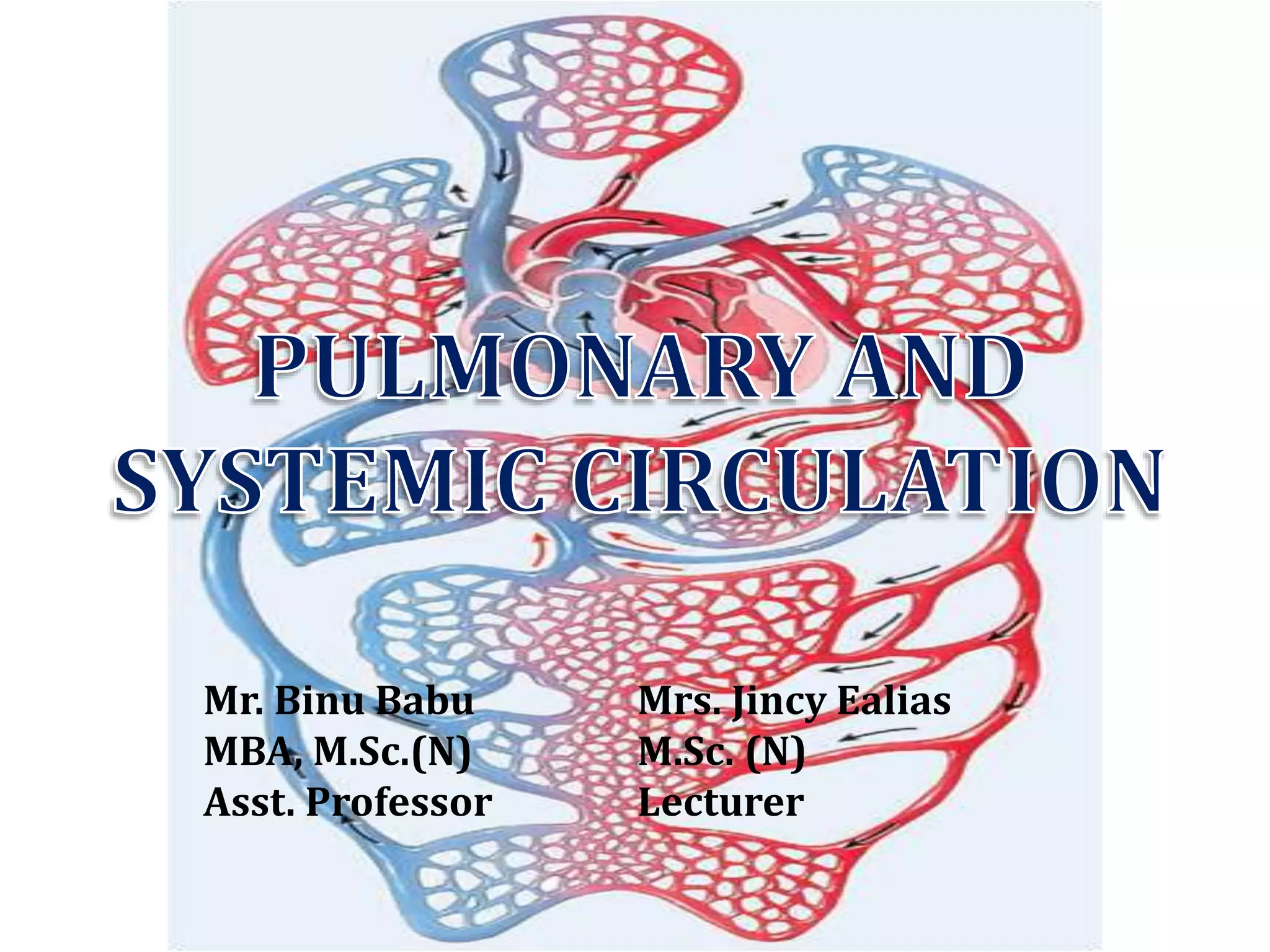 Pulmonary and systemic circulation | PPSX