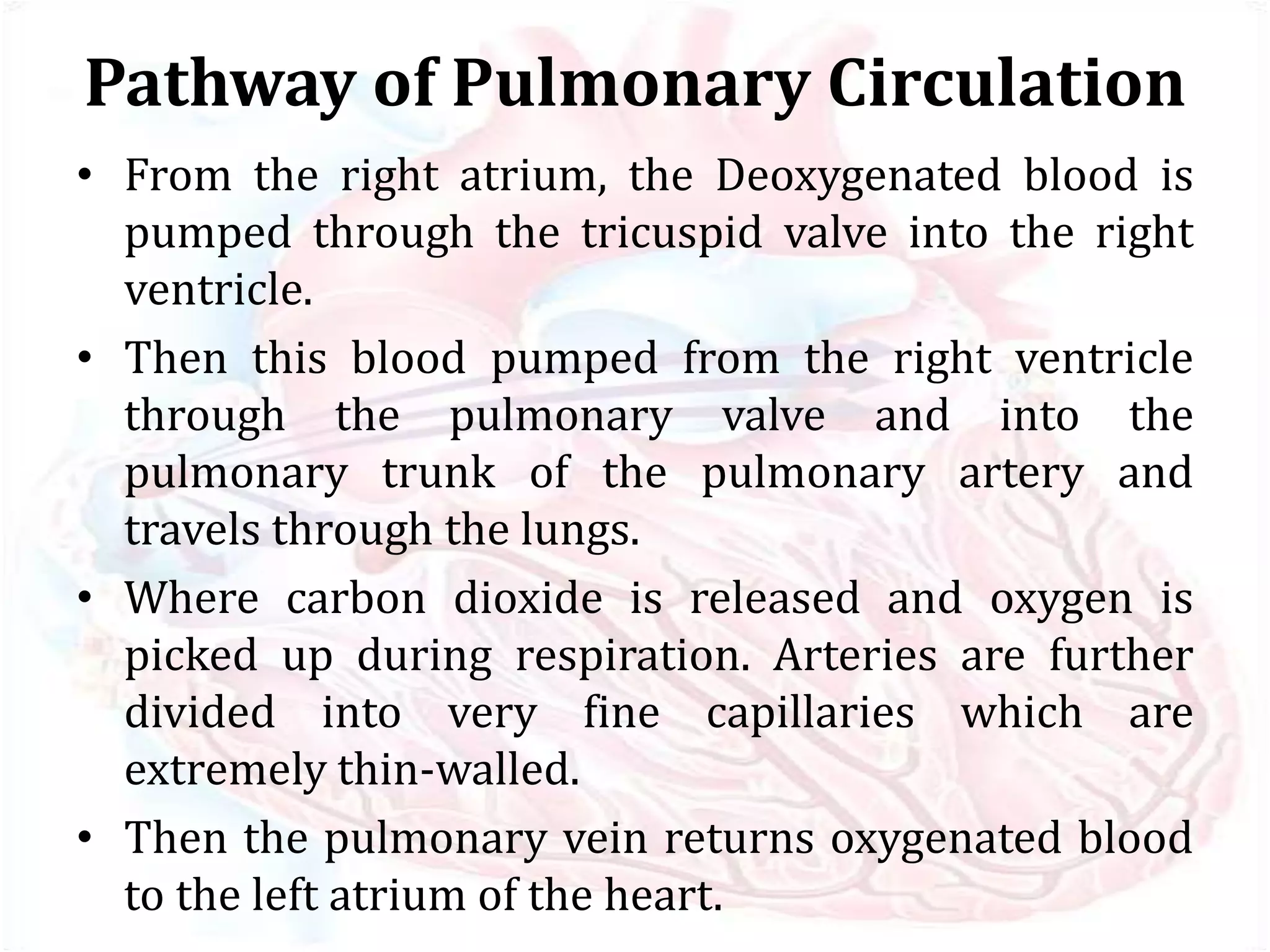 Pulmonary and systemic circulation | PPSX
