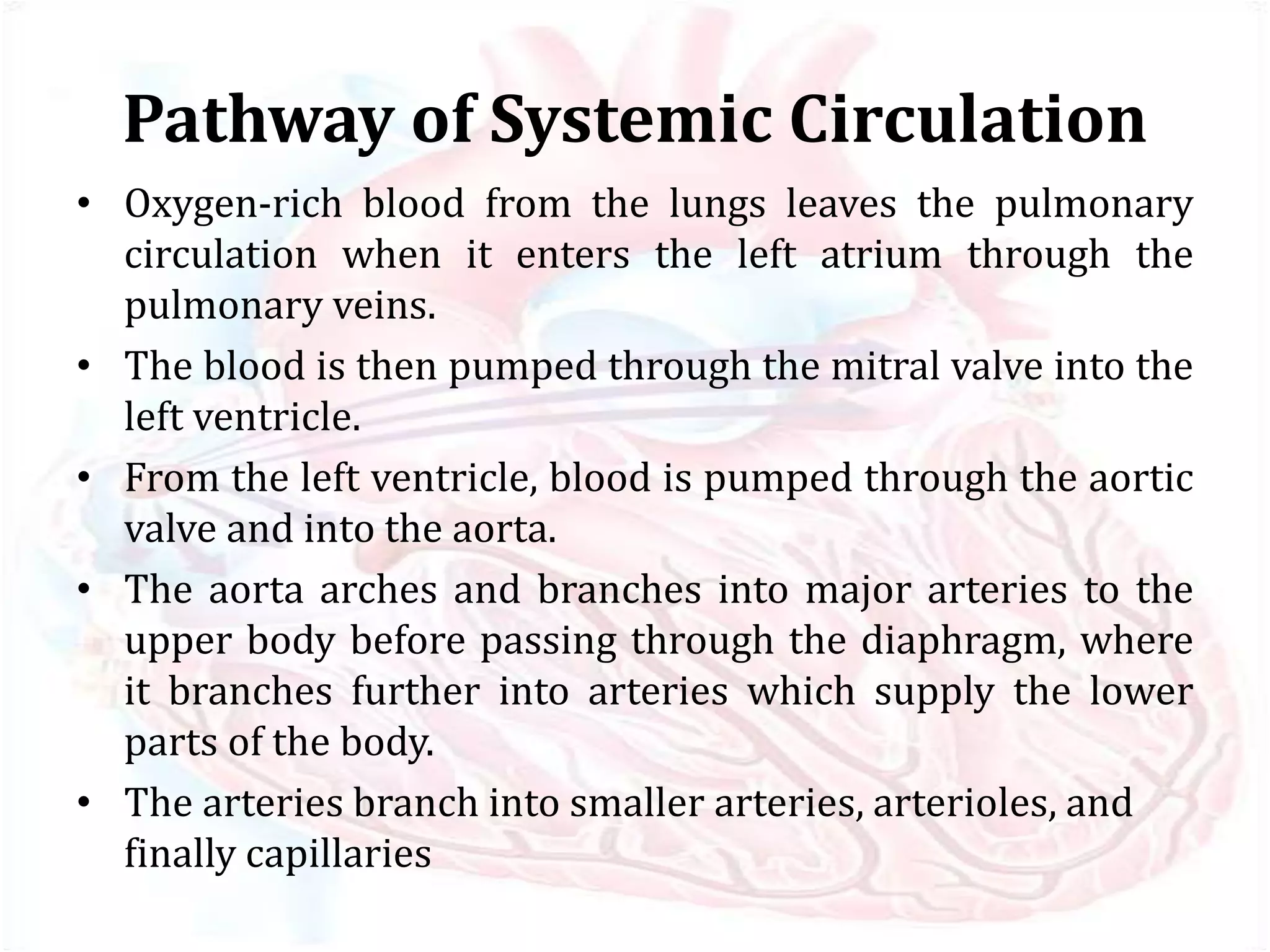 Pulmonary and systemic circulation | PPSX