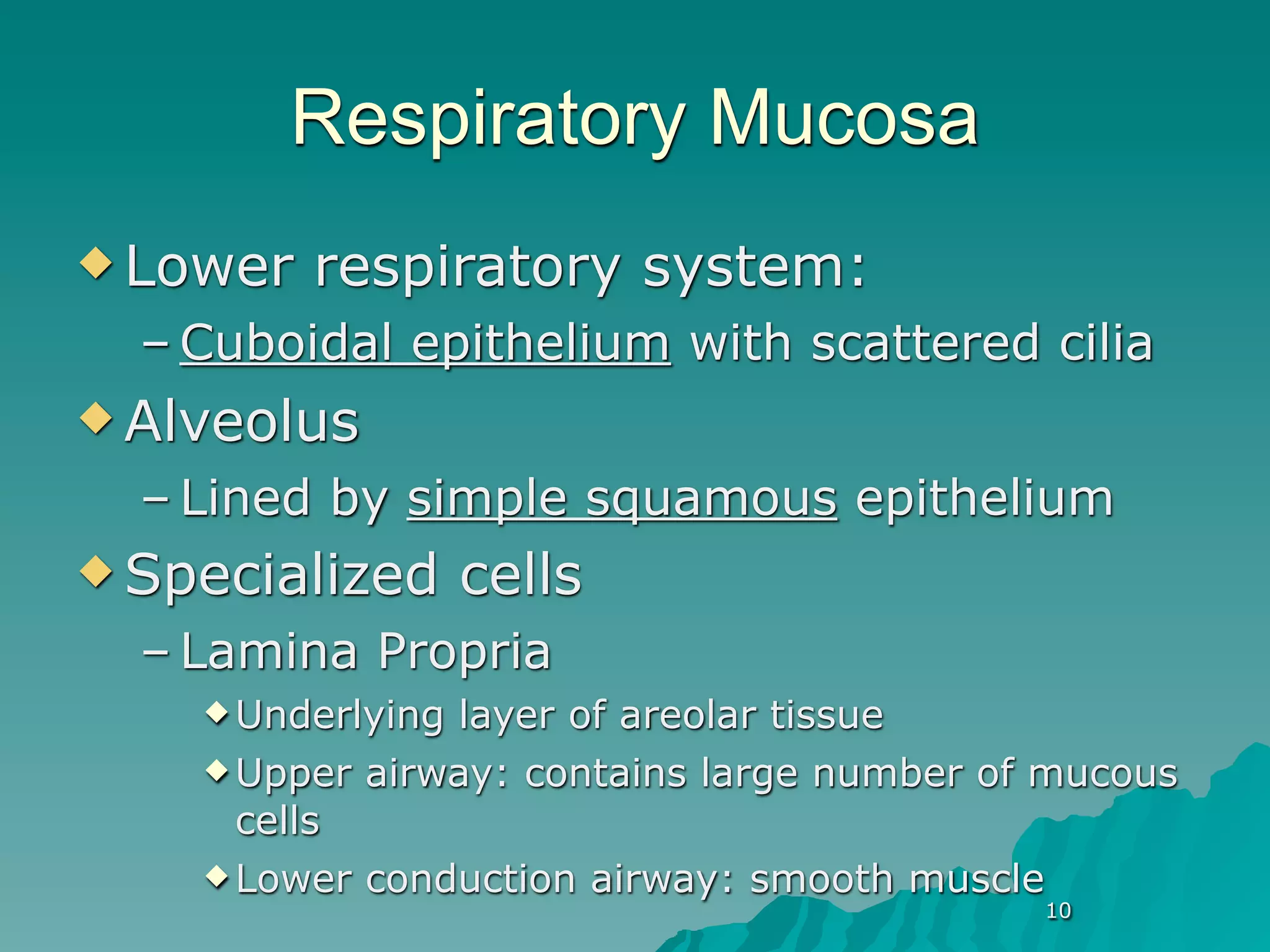 Pulmonary a p s10 | KEY