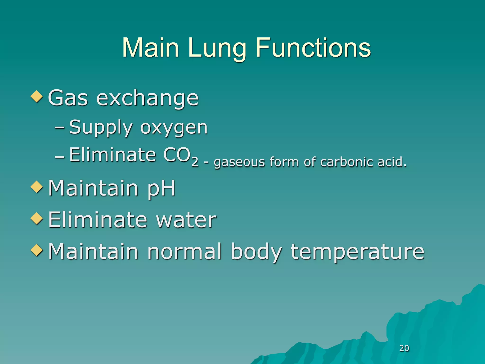 Pulmonary a p s10 | KEY